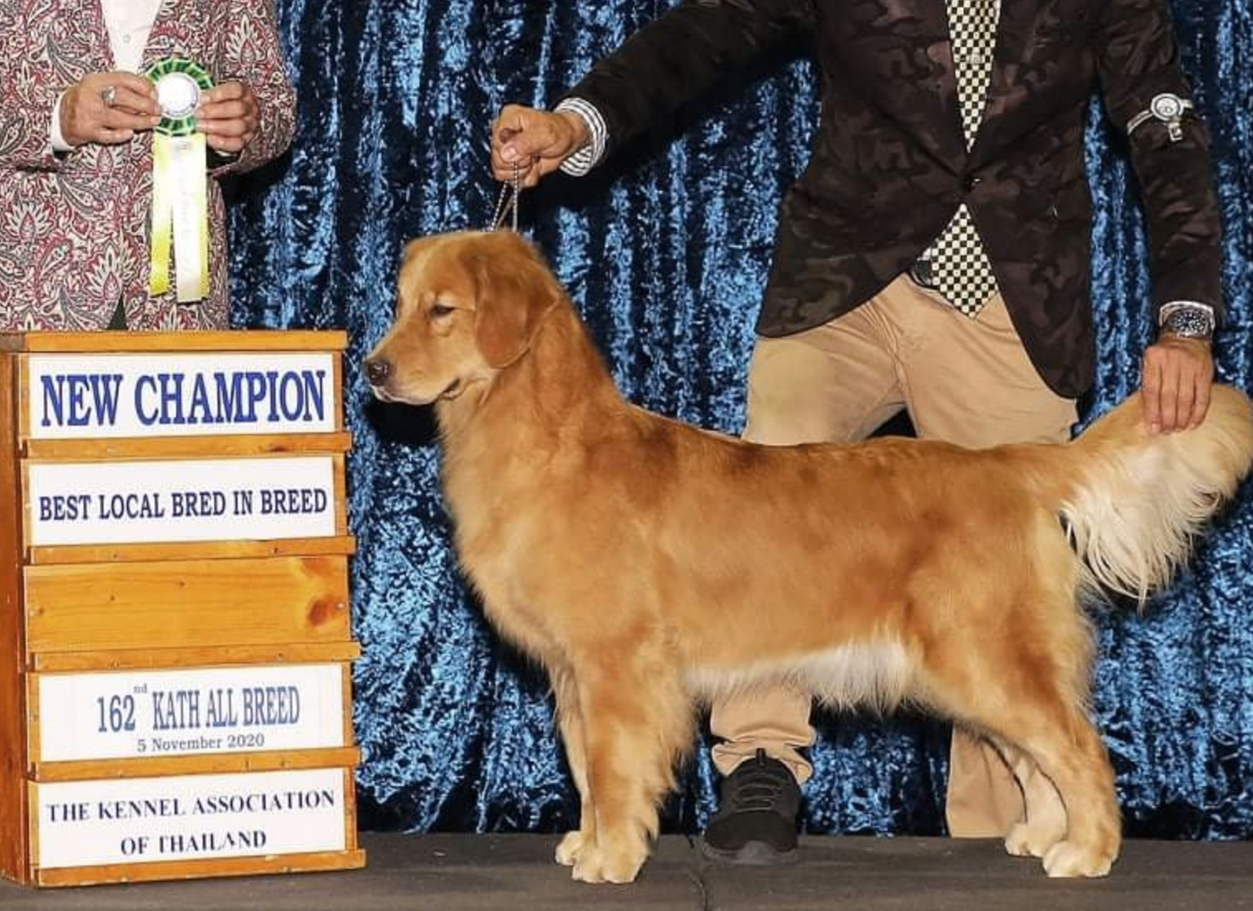 ฟาร์มสุนัขโกลเด้น Golden Future | อันดับต้นๆของประเทศไทย